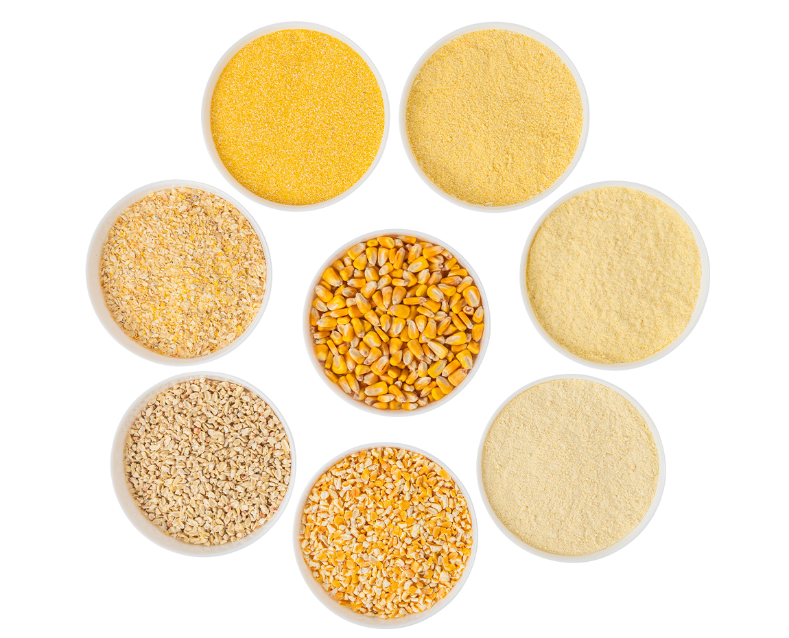 Castelmaïs, notre usine de première transformation de maïs - Groupe ...